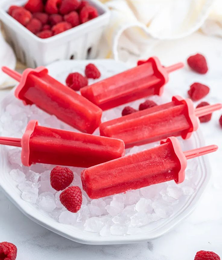 Raspberry Jam Ice Blocks – ROAR LIVING